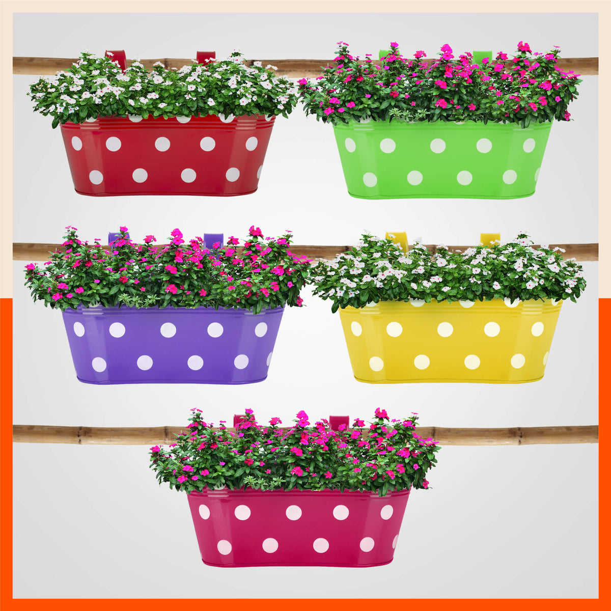 Hanging Pots For Balcony | Hanging Flower Pots In Multicolour – Bathla Home