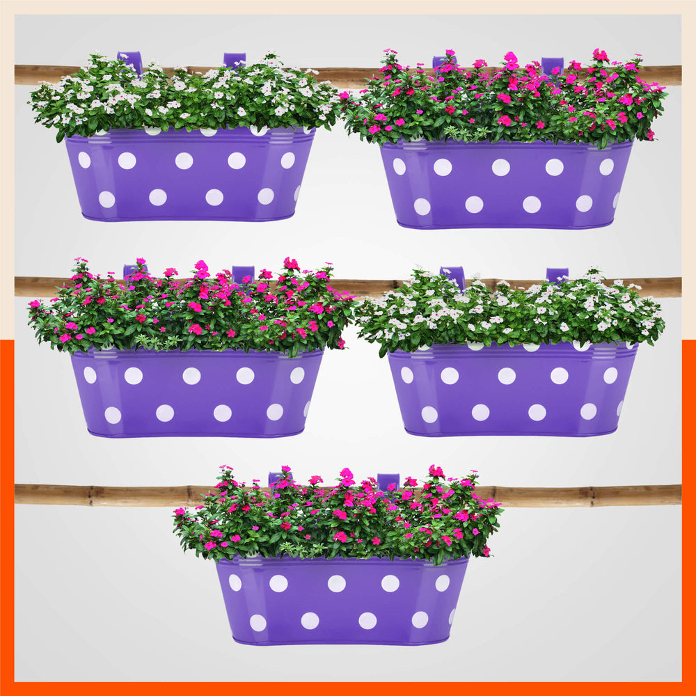 ARA Hanging Metal Pot Holders / Planters for Home / Balcony / Garden ...